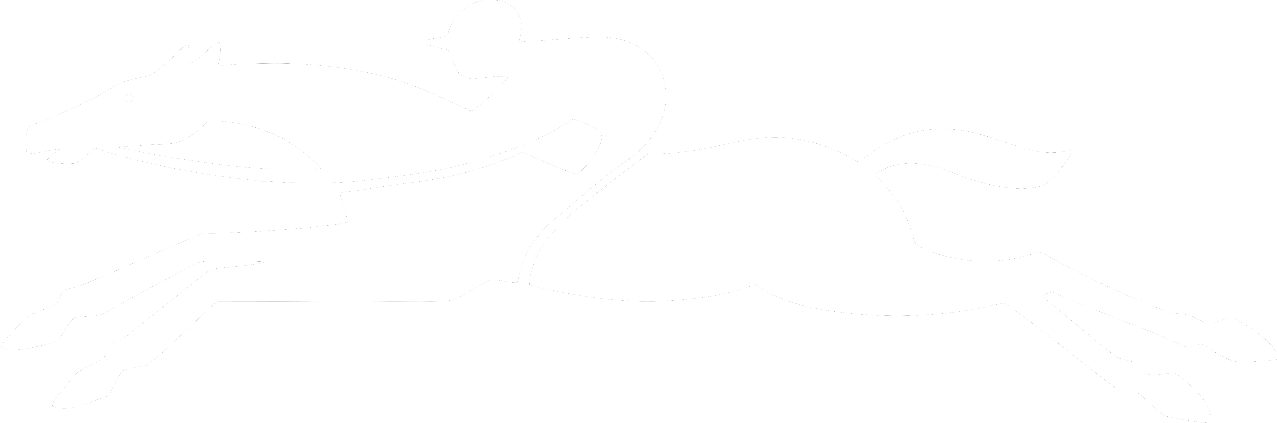 Longchamp Japan-ロンシャンの服とアクセサリー